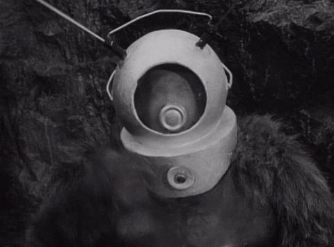 Alien: Romulus 4K UHD (2024) - Page 3 - Blu-ray Forum