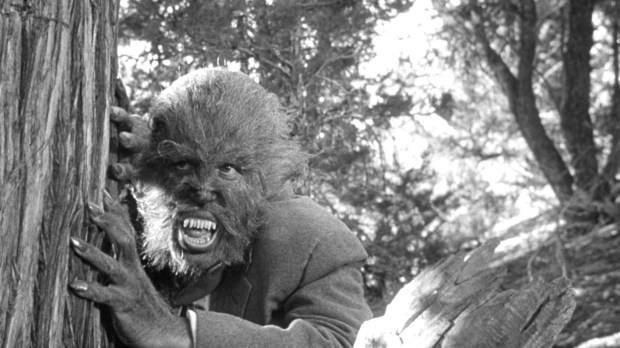 Movie Review: The Werewolf (1956)